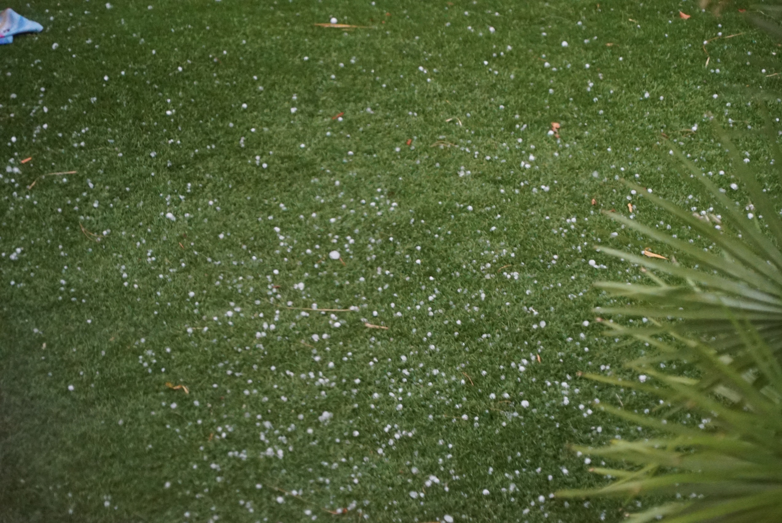 A little hail in Vegas – TurtleHerding