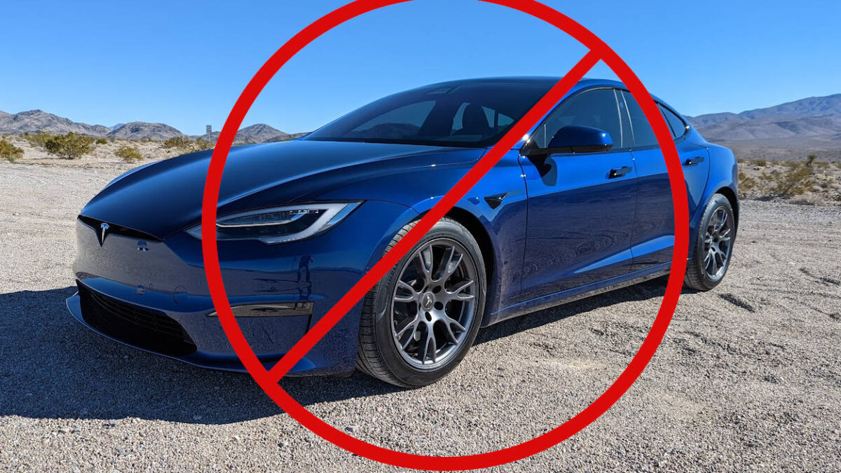 TurtleHerding – wander for the wonder